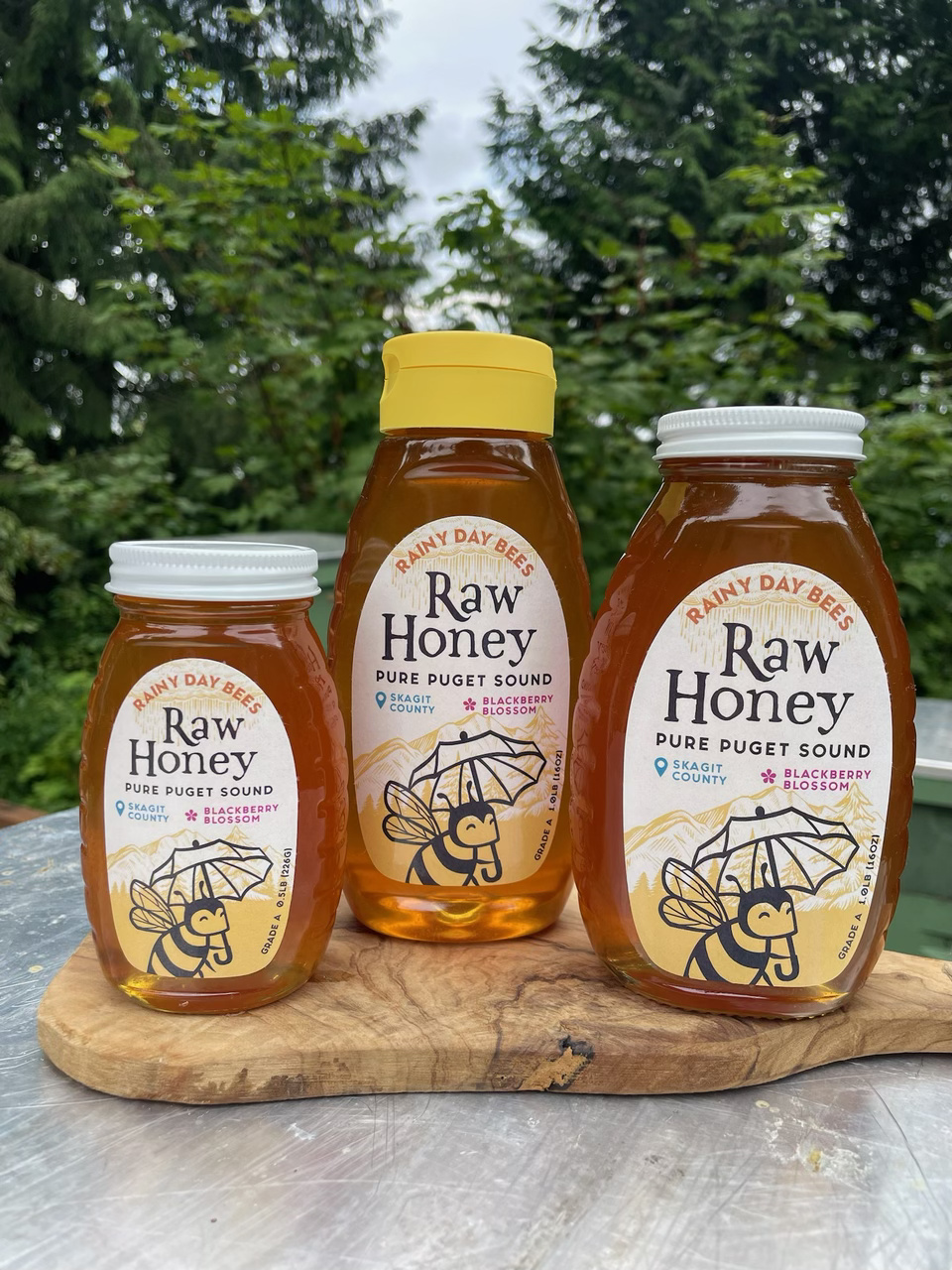 Rainy Day Bees | Seattle Restored